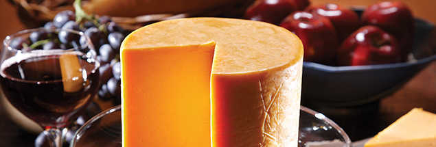 Cheese Facts WI | Cheeses Madison | Best Cheese Making Waunakee